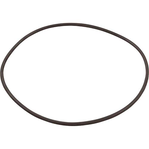 Hayward CXFHR1001 O-Ring for Filter Head