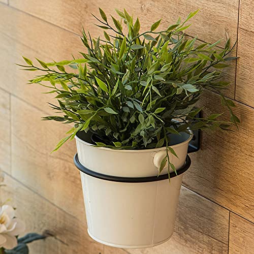 Plant Holder Ring 6 Inch Wall Mounted, 6 Pack Flower Pot Hangers Metal Plant Stand Hanging Bracket Basket Hooks