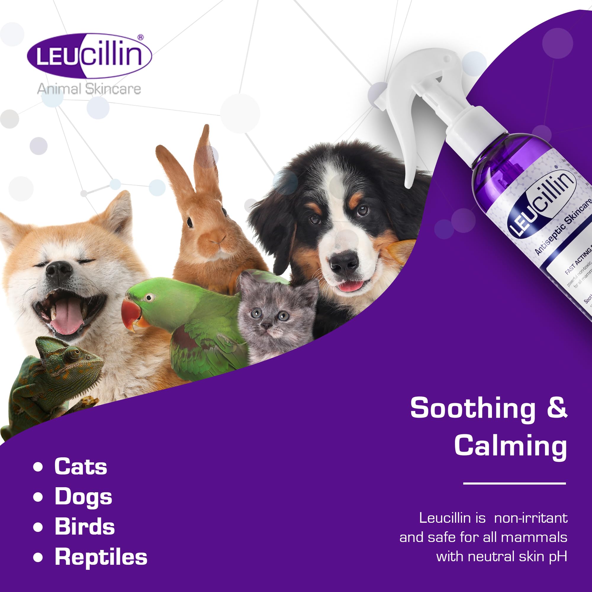 Leucillin Natural Antiseptic Spray for Dogs, Soothes Itchy Skin and Promotes Healing, Effective Treatment for Dogs, Wound and Skin Care Solution for Pets, First Aid Kit Essential - 150ml
