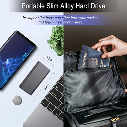 External Hard Drive 2TB USB3.1 for PC, Mac, Desktop Computer, Wii U, Xbox (2TB, Gold)