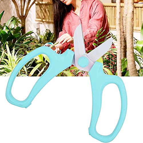 Garden Pruning Shears, High Carbon Steel Garden Pruning Shears Thick Branches Scissors Bonsai Tools Traditional Bonsai Scissors(blue)