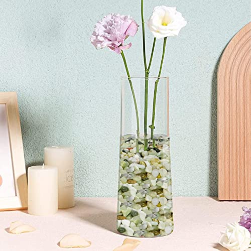 GASPRO 5 Pound Pebbles for Indoor Plants, 3/8 Inch Decorative Rocks for Bamboo, Vase, Succulents, Highly Polished and Smooth Surface, Jade