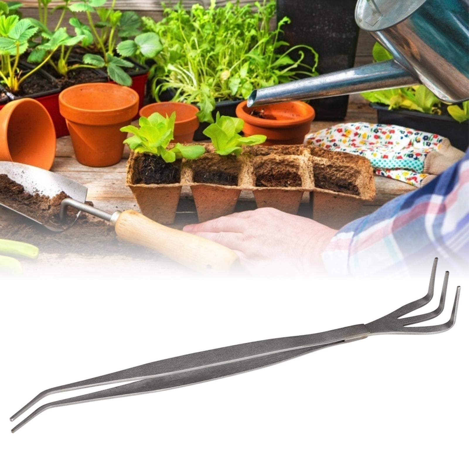 KIKYO Bonsai Root Rake + Tweezers, 2 in 1 Stainless Steel Bonsai & Gardening Tool Soil Bonsai Tree for Outdoor, default, Defult
