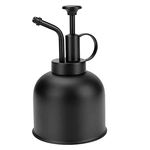 Globalstore Plant Mister, Stainless Steel Plant Mister Spray Bottle, Mini Plant Watering Can, Antique Spray Mister Fancy Plant Spritzer for Indoor Plants Succulents Orchids Air Plants Home Room Decor