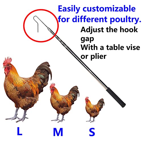 GLOBOTECH Extendable Chicken Catcher Leg Hook - Stainless Poultry Hook Fowl Catcher, 25" Extend to 59", Perfect Tool for Safe and Easy Handling of Fowl, Duck Catcher Instead of Bird Catching Net