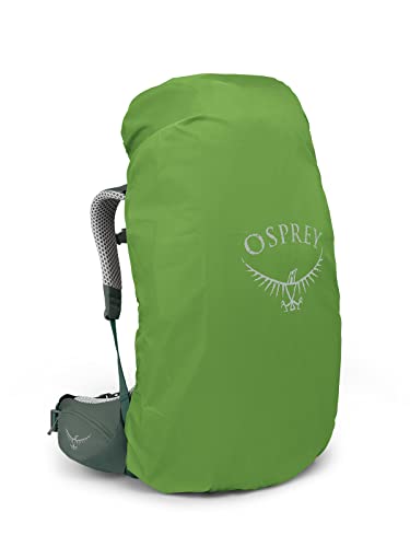 Osprey Aura AG LT 65L Women's Backpacking Backpack, Koseret/Darjeeling Spring Green, WM/L