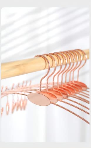 LOVENJOY Clothes Hooks Hangers Rack Metal Alloy Rose Gold for Underwear Bra Pants with Non Slip Clips for Laundry Lingerie Shop Display, 2 Pcs