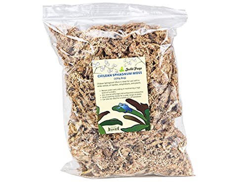 Josh's Frogs Bioactive Dart Frog Substrate Vivarium Bundle- Small