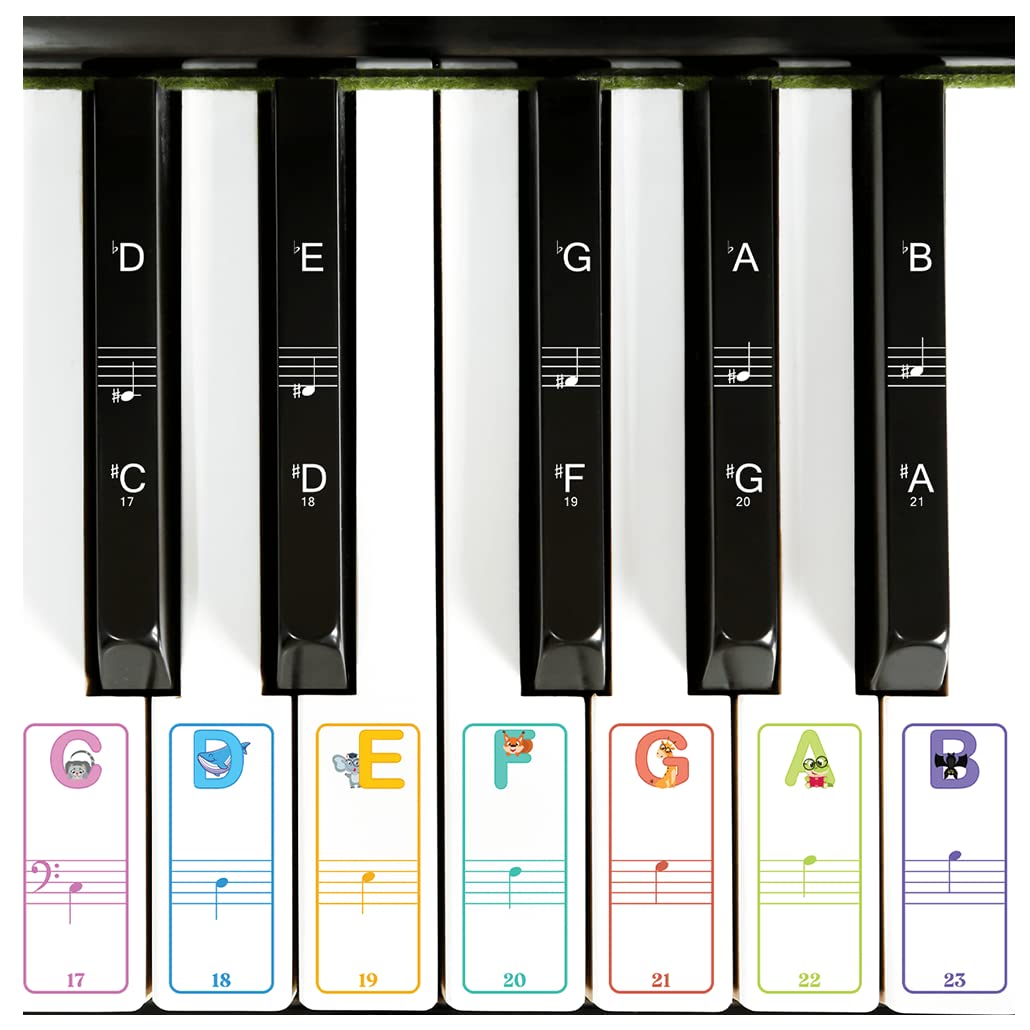 GOLEEX Monsters Piano Stickers Keyboard Piano Sticker 88 61 54 49 44 37 Keyboard Color Key Large Key Keyboard Sticker for Learning Kid Piano Note Labels Piano Chart Colorful Piano