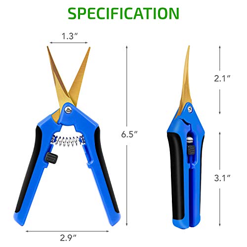 iPower GLPRNR6BLTI 6.5" Pruning Shear Hand Pruner for Gardening Potting with Titanium Coated Curved Precision Blades, 1-Pack, Blue