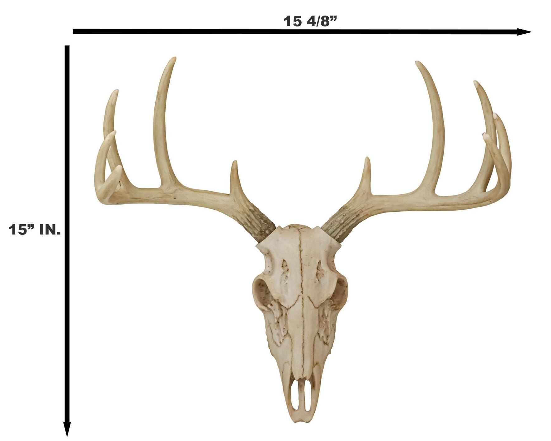 Ebros Gift Rustic Hunter Deer 10 Point Buck Skull Trophy Antlers Wall Mounted Plaque Trophy Decor Figurine 14.25" Long Hunter's Antler Rack Theme Deers Bucks Hunting Skulls Trophies Hanging Sculptures