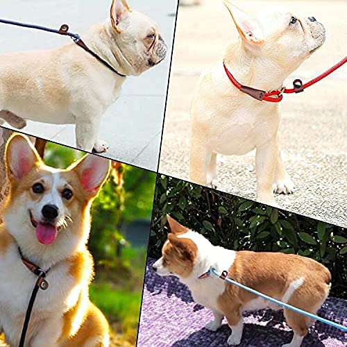 MayPaw Slip Lead Control Leash for Dogs No Pull, 13+ Colors Classic Dog Leash 7 FT Pet Slip Leash, 1/4” Rope Leash for Small Medium Animals (7ft*1/4", Green)