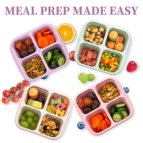 Luriseminger 4 Pack Bento Lunch Box,4 Compartment Snack Containers,Divided Bento Snack Box,Meal Prep Containers Kids/Toddle/Adults,Food Storage Containers for School, Work and Travel