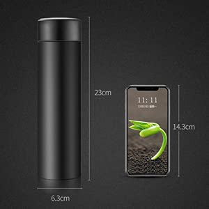 F.A.M.E LED Display Temperature Controlled Stainless Steel Insulated Sports Water Bottle Iron Flask Tea Infuser (Gold)