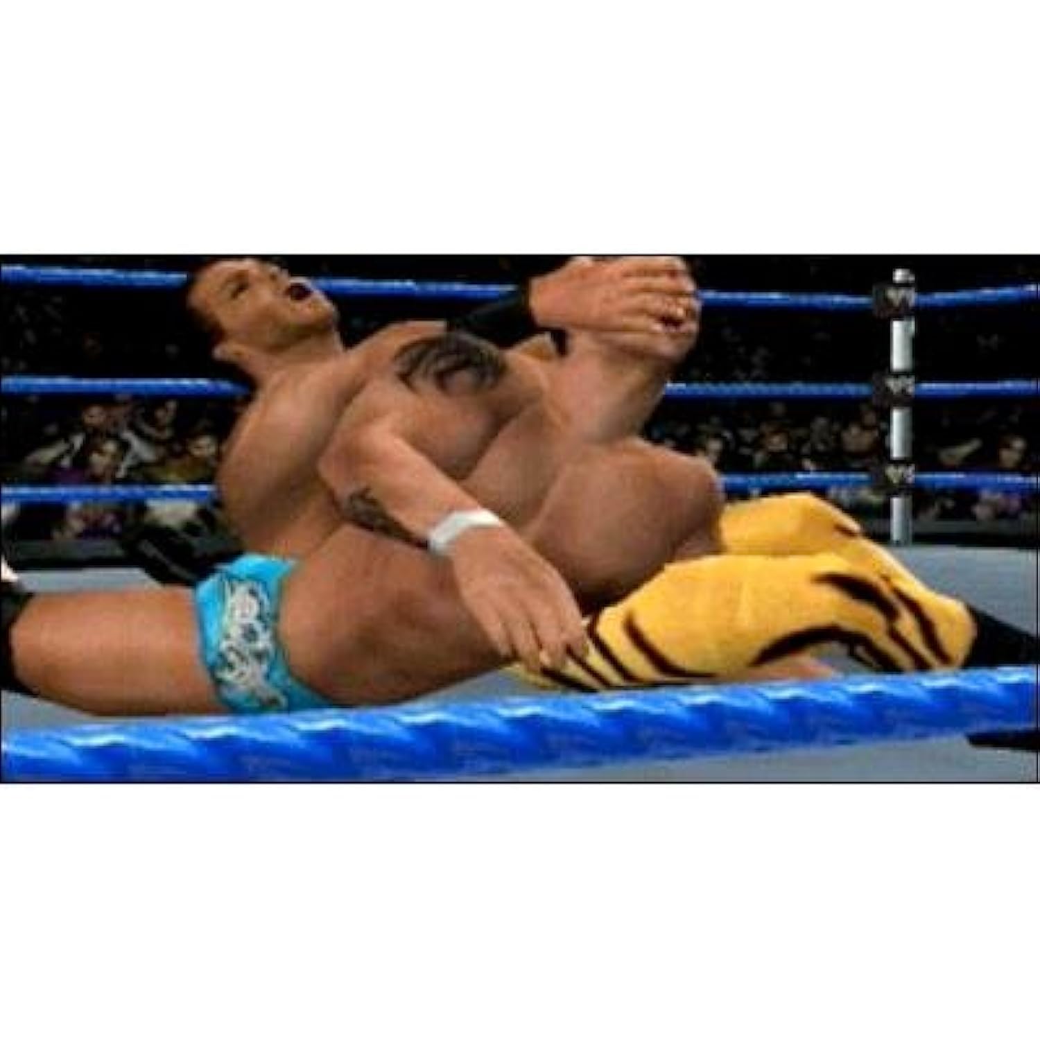 WWE SmackDown! vs RAW 2006 (PSP)