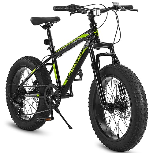 Elecony Ecarpat 20/24/26 Inch Fat Tire Mountain Bike Teenages Boys Girls 7/21 Speed, Front Suspension Disc Brake Bicycle, Carbon Steel Frame Mountain Trail Bike, Beach Bicycle