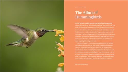The Hummingbird Handbook: Everything You Need to Know about These Fascinating Birds