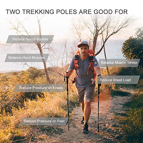 Forceatt Trekking Poles, Two Shock-Absorbing Collapsible Trekking Poles,Sturdy and Lightweight Aluminum Alloy 7075, EVA Grip, Adjustable Length, Quick Lock, Suitable for Camping Hiking Backpacks