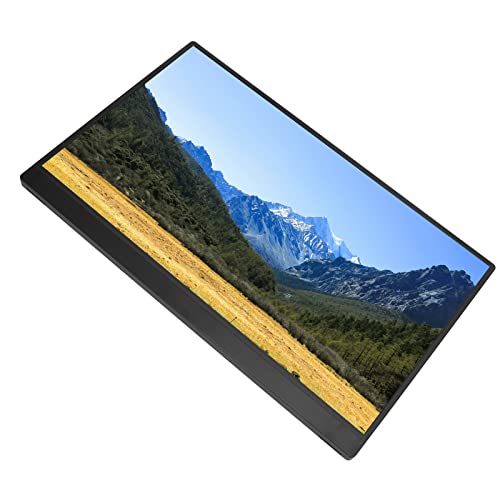 Lapotp Monitor, 100-240V 16:9 Screen Ratio 1080P Practical HDR Support IPS Touch Screen Monitor for Mobile Phone (US Plug)