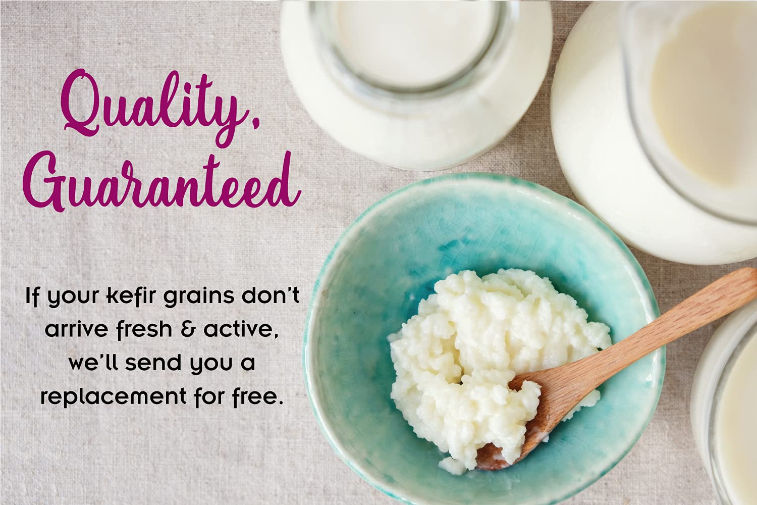 Fusion Teas 1 TBSP Organic Milk Kefir Grains and ebook “Milk Kefir Unleashed by Thomas Egbert” - Fresh Live Active Probiotic Starter Cultures