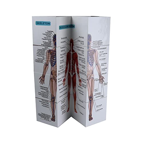 kaitnax Human Anatomical Poster Set Anatomy Study Cube Medical Student Learning Tool Anatomy Chart Set, 9 Parts Anatomy Heart, Muscular, Skeletal, Digestive, Circulatory etc. Gift Package 3.9"X3.9"