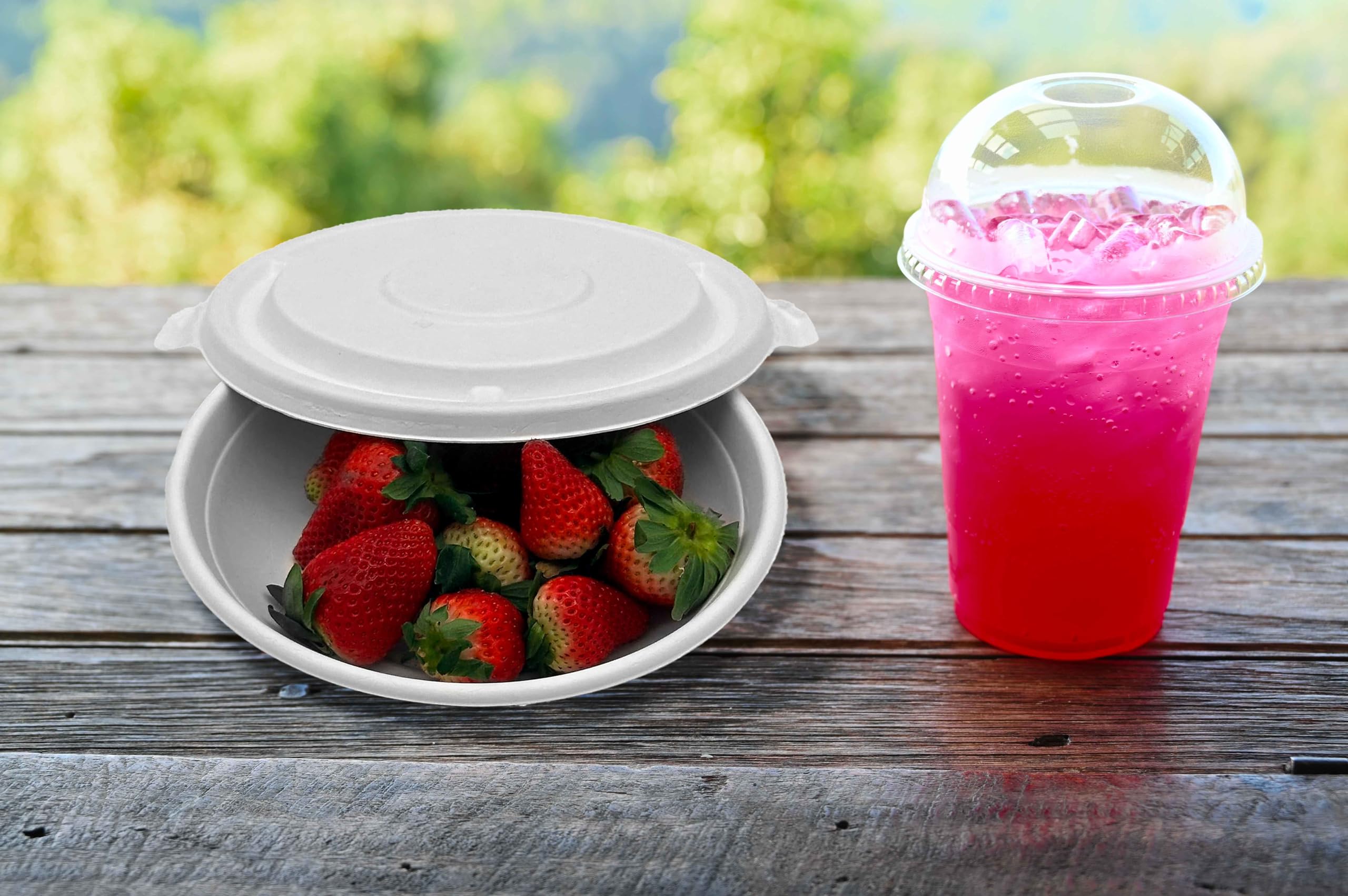 Earth's Dreams 25-Pack 24oz 100% Compostable Bowls With Lids, Eco-Friendly Bagasse Sugarcane Fiber Paper Bowls/Disposable Bowls - Hot Soup Or Breakfast Bowls -Kid-Friendly Or Disposable Pet Bowls