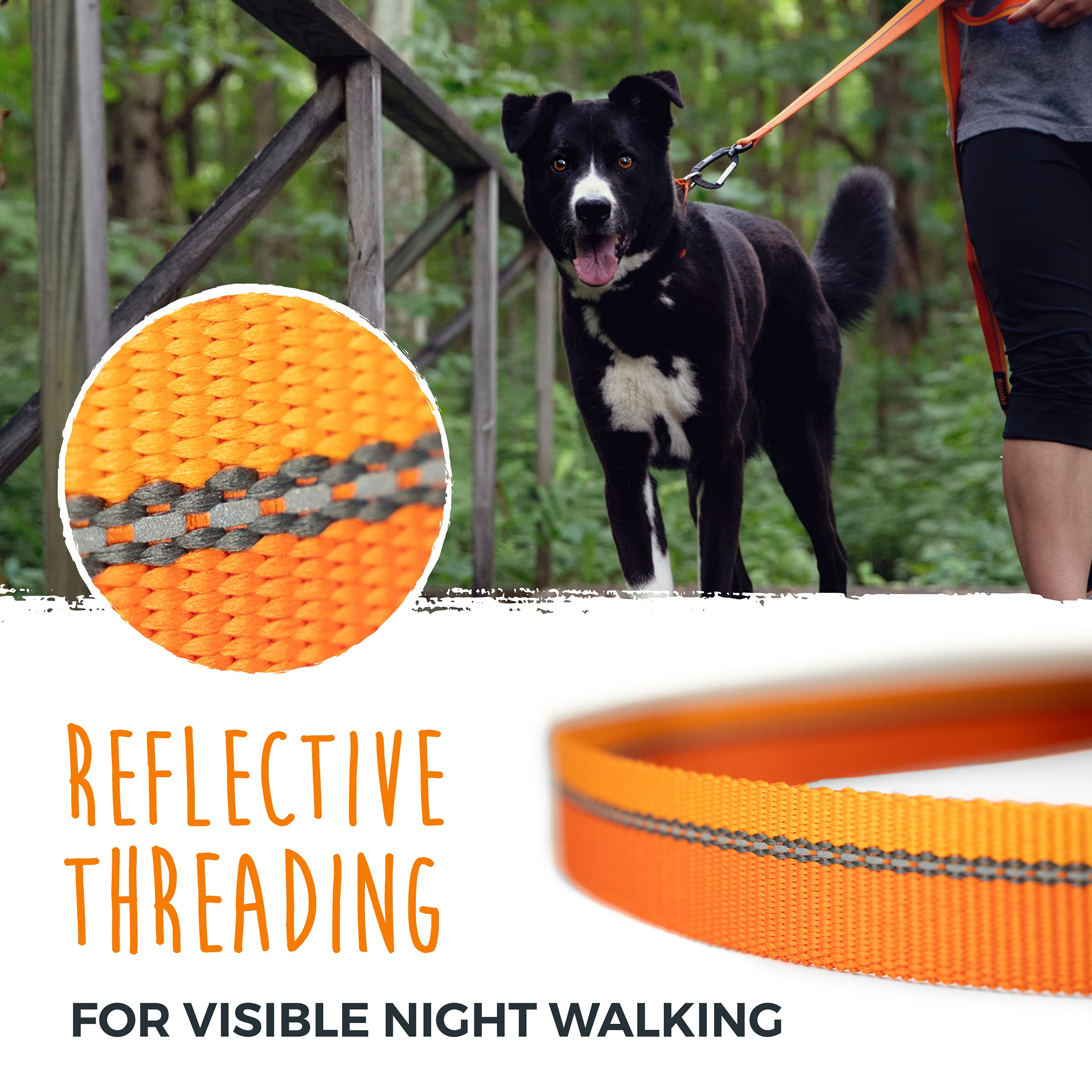 Mighty Paw Dog Leash - Soft Padded Handle - D-Ring and Pet Leash Clip - Carabiner Clip - Weatherproof with Reflective Stitching - 6 Foot Long Dog Leash for All Dog Breeds - Dog Walking Leash (Orange)