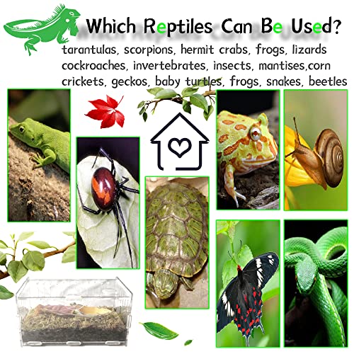 Magnetic Acrylic Reptile Cage,Transparent Enclosure Reptile Breeding Box,Breeding Box Terrarium Tank Suitable for Tarantulas,Lizards,Chameleons,Hermit Crabs,Snakes,Insect,Turtle(8x5x4 Inch)
