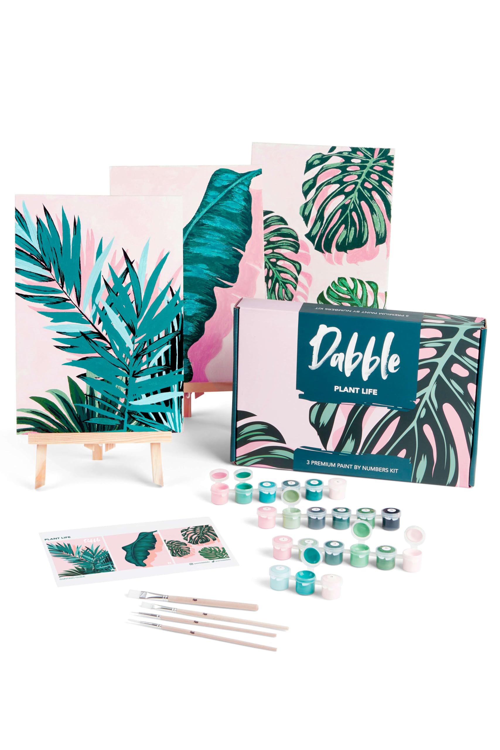 Dabble⢠Premium Paint by Numbers Kit for Adults Beginners, Quality Painting by Numbers for Adults on Canvas Frame, Flowers, Plants, Gift - Plant Life