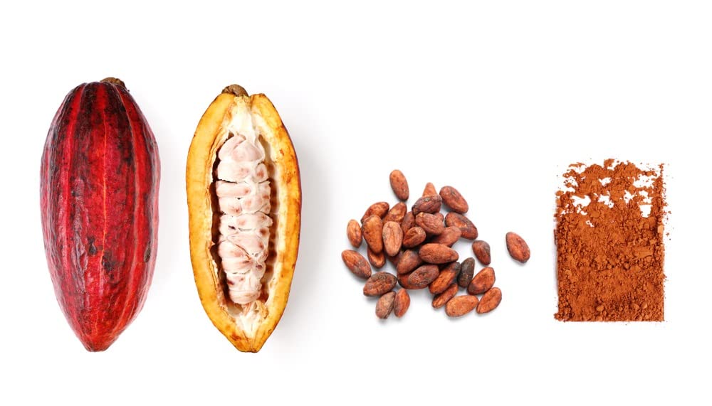 Fresh Cacao Seeds for Planting - Wet Cocoa Seeds - Make Chocolate, Great as Bonsai (4 Seeds)
