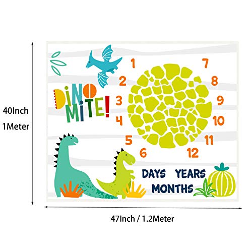 Dinosaur Baby Stuff Month Milestone Blanket for Newborn Photo Taken - Baby Age Blanket
