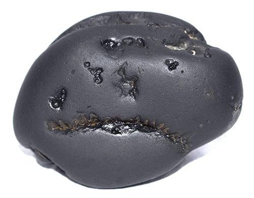 Rudrakshguru Laxmi Narasimha Shaligram - Gandaki River Nepal