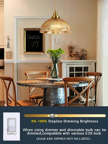 QianZhan Glass Pendant Light, 9.8" Gold Brushed Pendant Lighting Fixtures with Amber Glass Shade, Modern Dome Hanging Lights for Kitchen Island Dining Room Hallway Bedroom