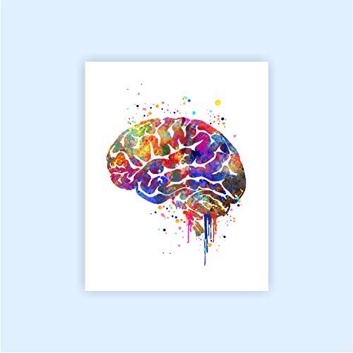 Dignovel Studios Unframed (Set of 3) 8X10 Human Anatomy Watercolor art print set Heart Lung Brain wall prints dnc23