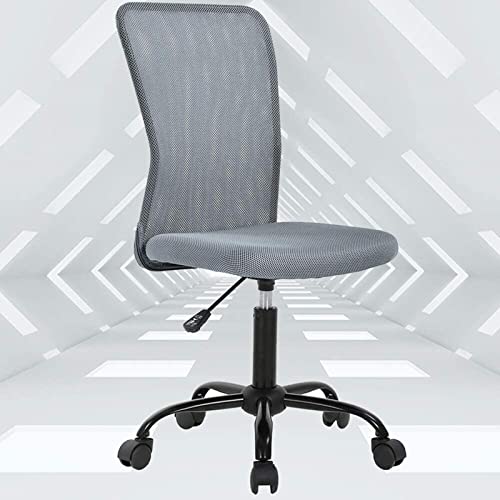 FFBag Home Office Chair Ergonomic Office Chairs Desk Chair Mid Back Support Armless Adjustable Modern Executive Rolling Swivel Computer Chair (Grey)