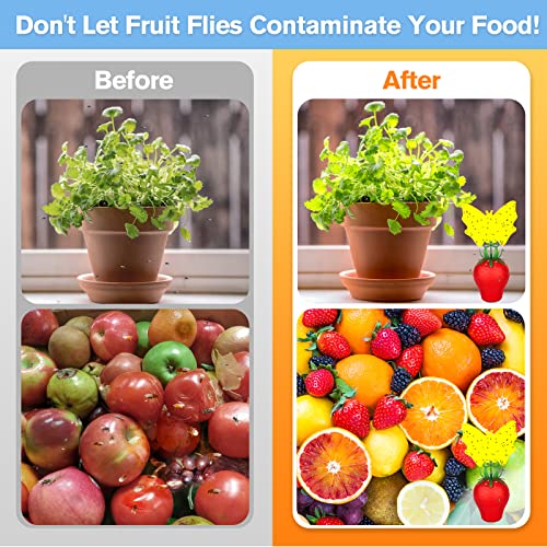 Fruit Fly Traps for Indoors,Effective Fruit Fly Killer Catcher Gnat Trap with Yellow Sticky Pads,Reusable Odorless Gnat Killer Fruit Fly Trap Comes with Fruit Fly Attractant for Home Kitchen (2 Pack)