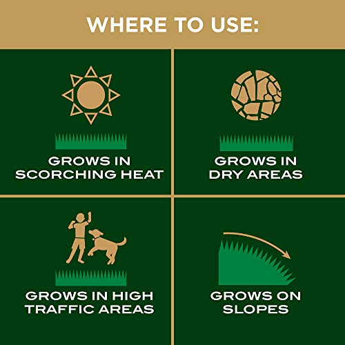 Scotts EZ Seed Patch and Repair Bermudagrass, 20 lb. - Combination Mulch, Seed, and Fertilizer - Tackifier Reduces Seed Wash-Away - Even Grows in Scorching Heat - Covers up to 445 sq. ft.