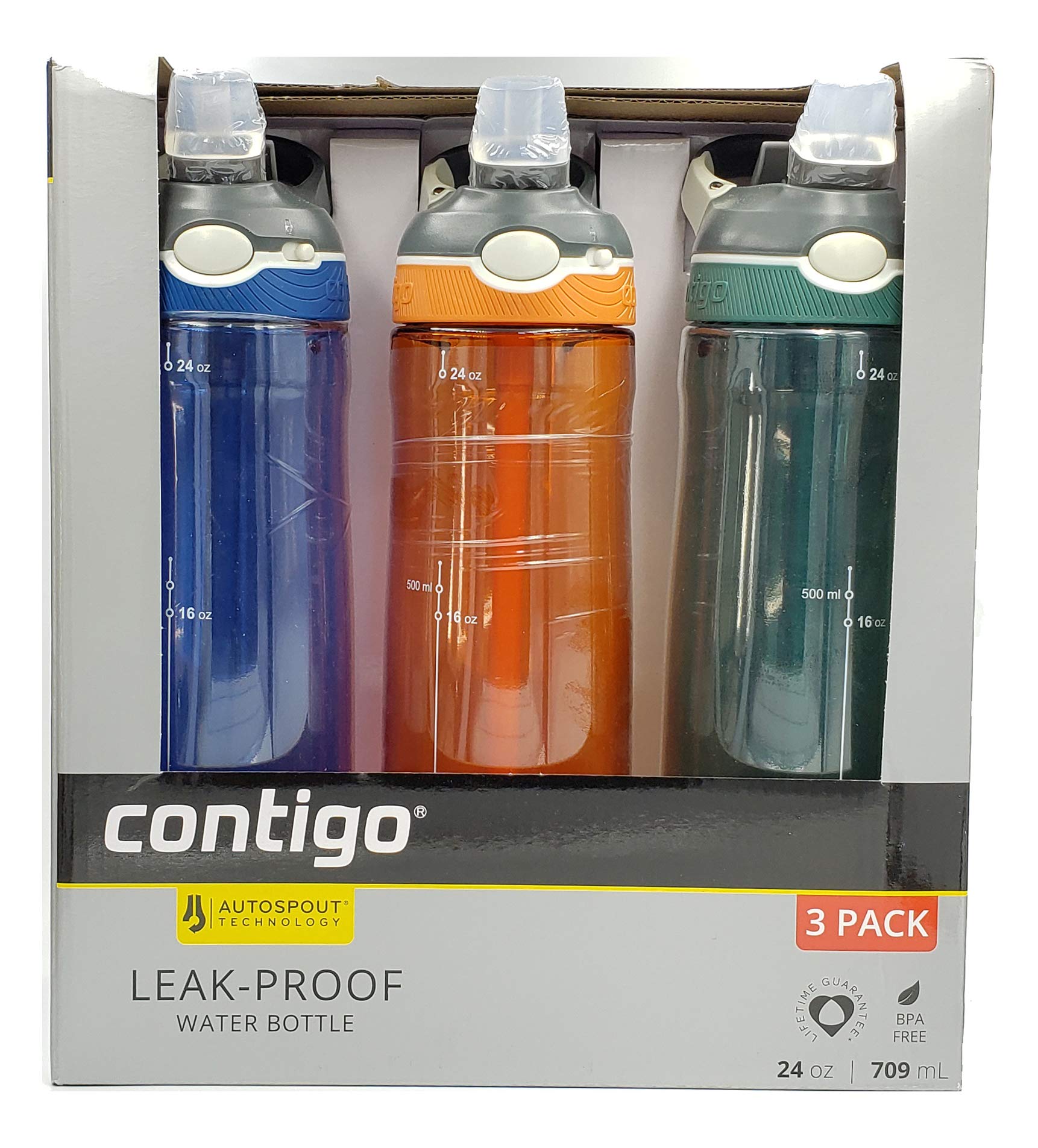 Contigo AUTOSPOUT Straw Ashland Water Bottle, 24 oz, Chard/Pumpkin Spice/Monaco, 3-Pack