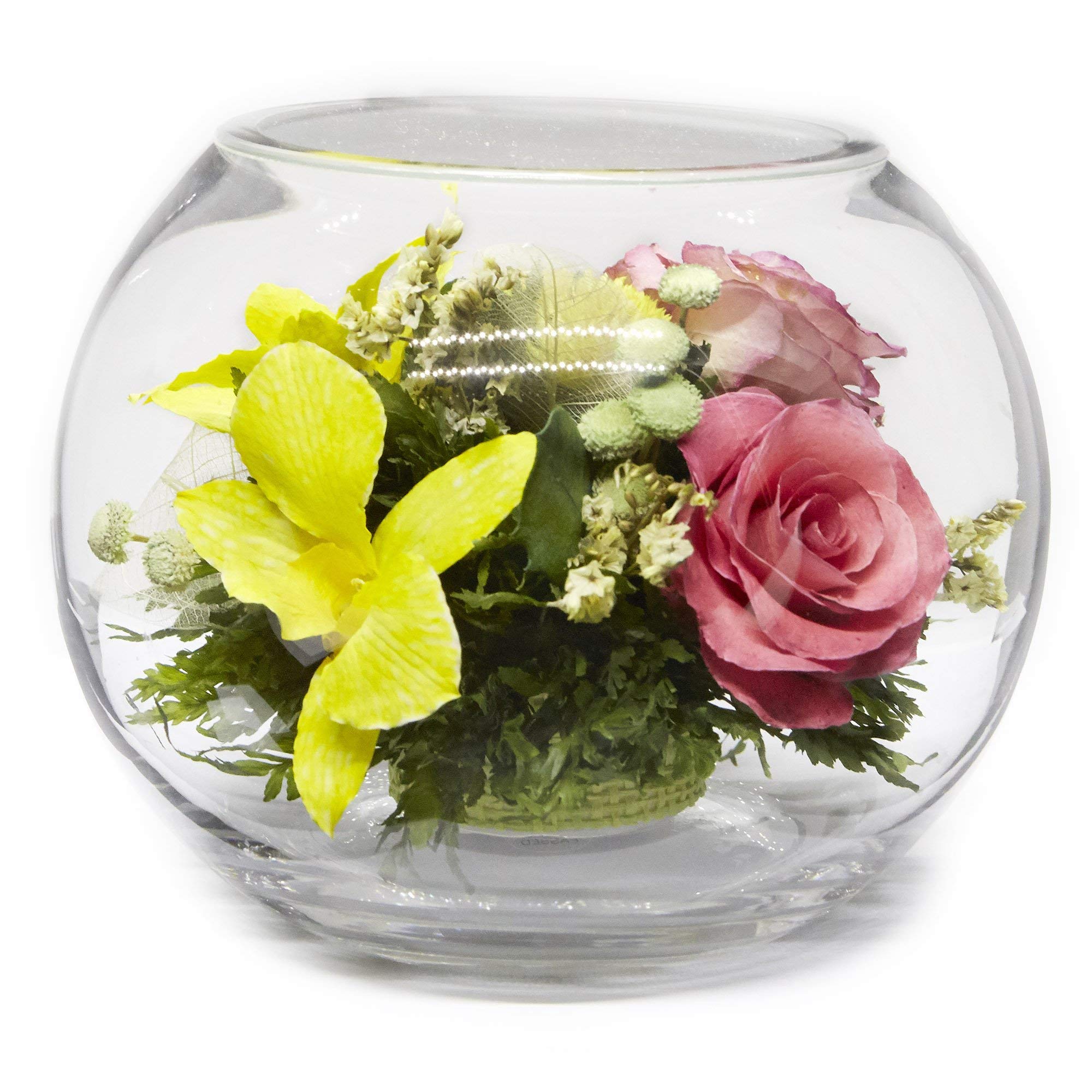 Fiora Flower | Long Lasting Real Roses and Orchids | Lasts up to 5 Years | Anniversary Floral Arrangement
