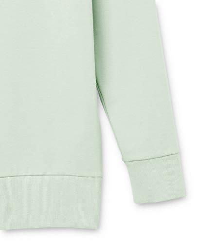 Daily Ritual Women's Terry Cotton and Modal Oversized-Fit Long-Sleeve Crewneck Sweatshirt, Light Green, X-Large