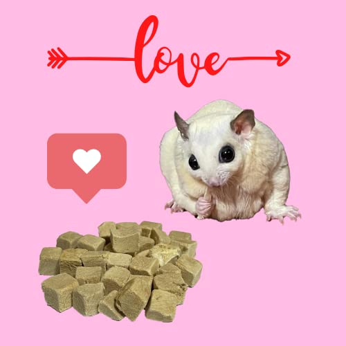 PETIVORE Premium Freeze Dried Duck Meat - High Protein - for Sugar Glider, Hamster, Chinchillas, Marmoset, and Other Small Exotic Pet Treats (15g.)