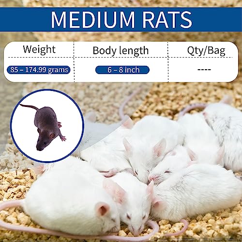 MiceDirect Frozen Rat Medium Feeder Snake Food for Adult Ball Python Monitor, Lizard (15 Count)