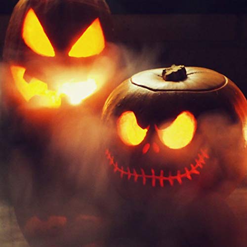 PULACO Mist Maker, Indoor Fountain Mister Foggers, Small Pond Fog Machine Atomizer Air Humidifier Perfect for Water Feature, Halloween, Christmas and Other Holiday Decorations.