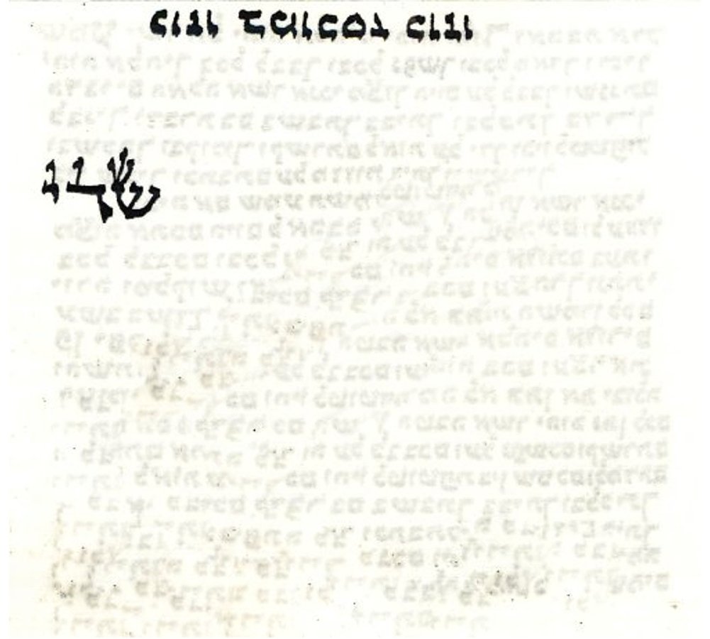 Holy Land Market Two Non Kosher Scroll/Parchment/Klaf or Scroll for Standard Size Mezuzah Cases - from Israel (4 x 4 Inches)