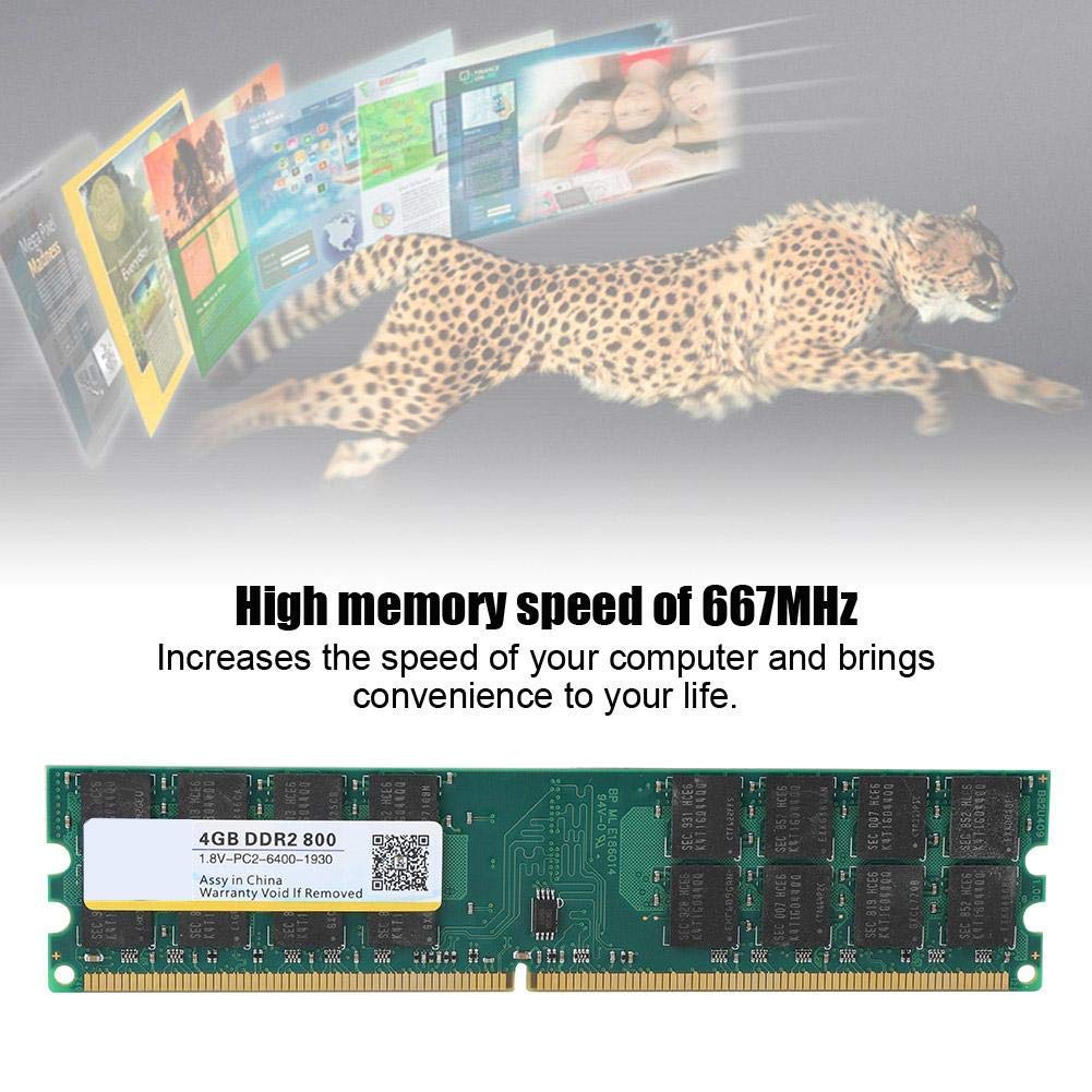 DDR2 Memory,800MHZ 4G 240pin RAM Memory Designed for DDR2 PC2-6400 Desktop Computer for AMD Motherboards, Circuit Module Board