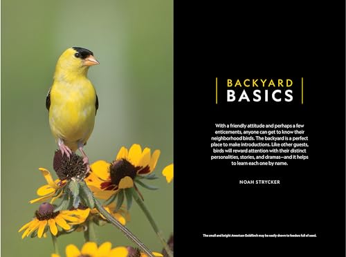 National Geographic Backyard Guide to the Birds of North America, 2nd Edition (National Geographic Backyard Guides)