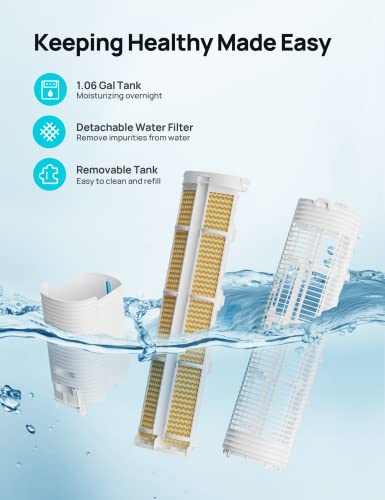 Dreo Evaporative Air Cooler, 40” Cooling Fan with 80° Oscillating, Humidifying, Removable Water Tank, Filter, Ice Packs, Remote Control, 3 Speeds, 7H Timer, Personal Swamp Cooler, White, DR-HEC001