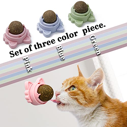 PODOO Catnip Toys for Cats, 3 Pack Edible Balls for Teeth Cleaning, Self-Adhesive and Rotatable Kitten Chew Toy, Safe and Healthy Wall Cat Toys