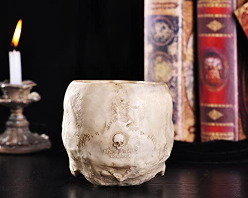 IBWell Modern 6 inch Large Funny Resin Skull Shaped Head Design Flower Pot Planter Container, Decoration Flowerpot Props Home Office Desk Decor