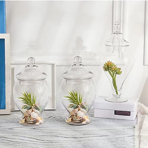 Livejun Glass Apothecary Jars 45 Ounce Decorative Candy Cookie Jars ,Clear Elegant Storage Jar with lids Canisters Sets for the Kitchen Wedding Home Centerpiece Candy Buffet Set of 2